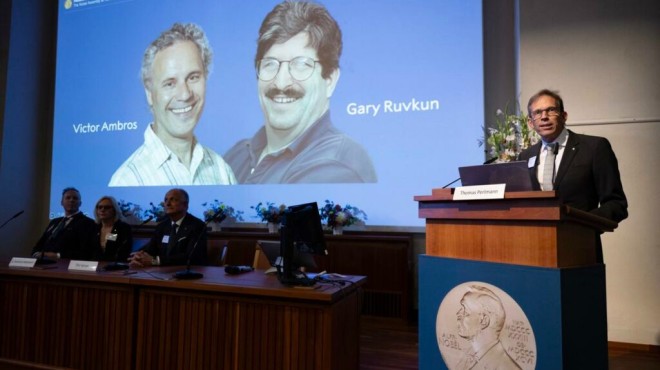 El microARN, pieza fundamental en la evolución de la Medicina moderna, gana el Nobel de Medicina ...